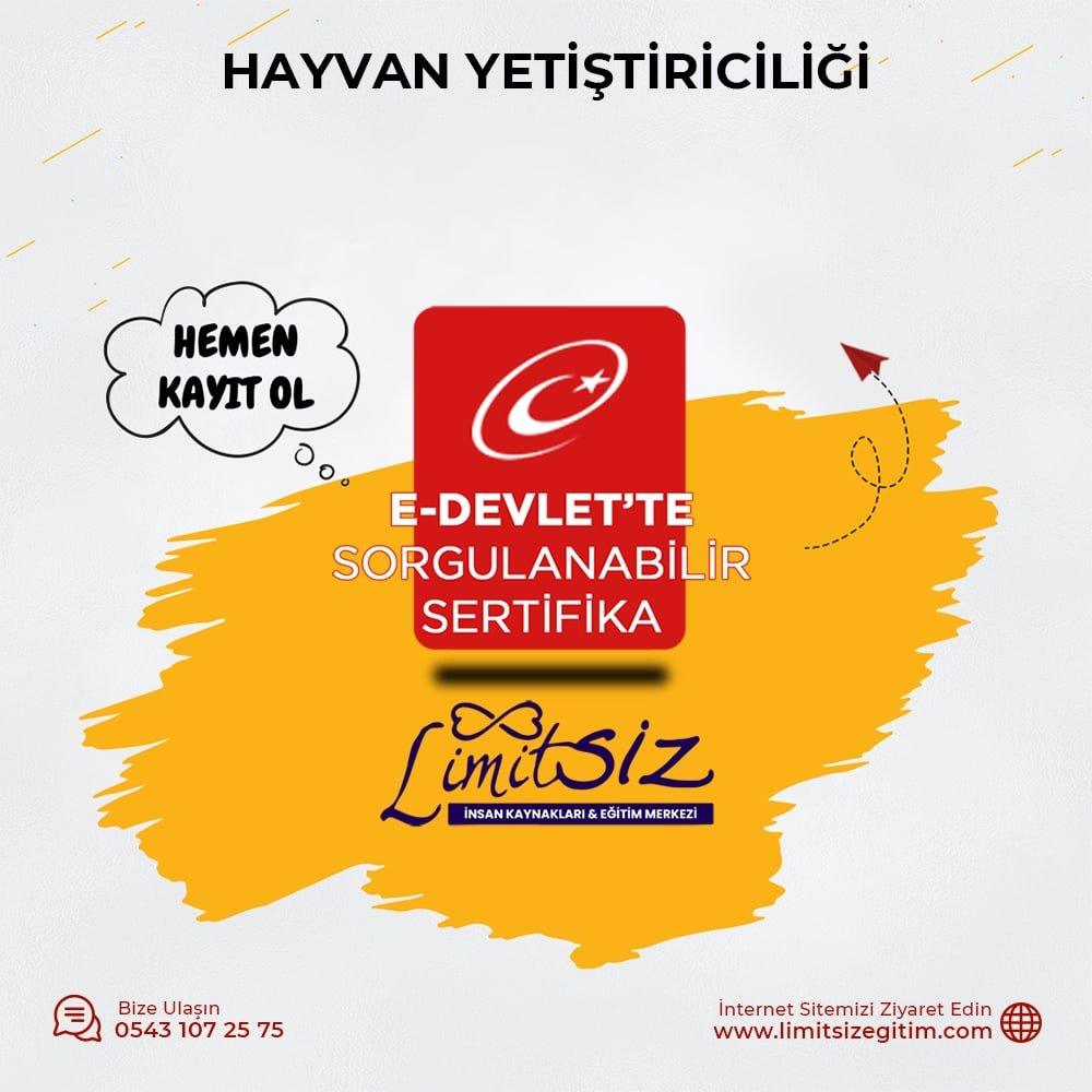 Hayvan Yetiştiriciliği Sertifika Kursu | Limitsiz Eğitim